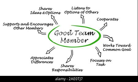 Characteristics of Good Team Member Stock Photo - Alamy
