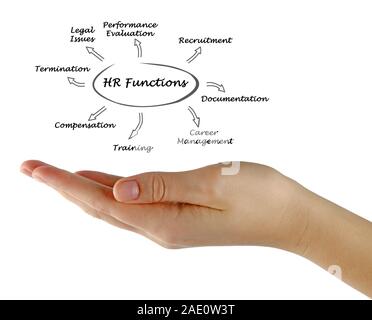 Diagram of HR Functions Stock Photo - Alamy