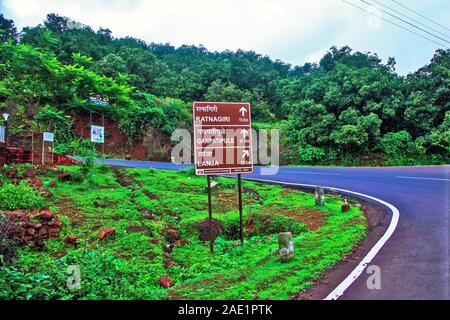 Baheda tree at lanja ratnagiri Maharashtra India Asia Stock Photo ...
