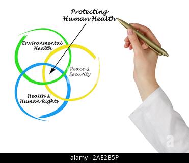 Diagram of protecting Human Health Stock Photo - Alamy