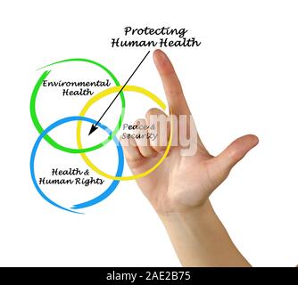 Diagram of protecting Human Health Stock Photo - Alamy