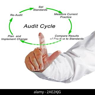 Diagram of Audit Cycle Stock Photo - Alamy