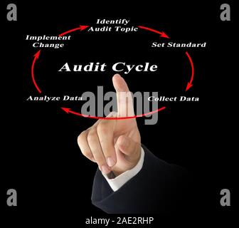 Diagram of Audit Cycle Stock Photo - Alamy