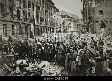 End of the war in Berlin 1945 - Men decompose a dead horse lying on the ...