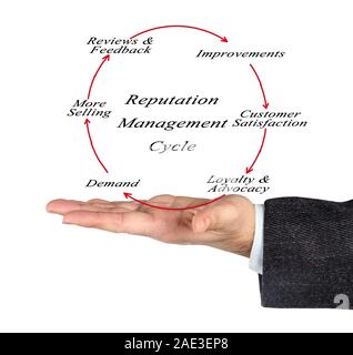 Reputation management cycle Stock Photo - Alamy