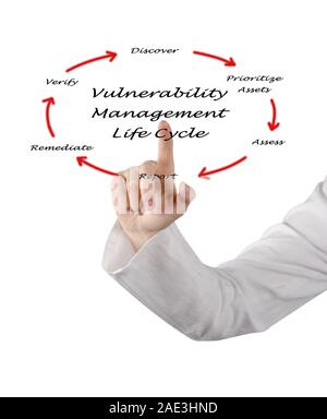 vulnerability management of life cycle Stock Photo - Alamy