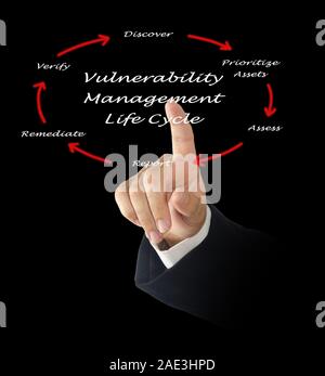 vulnerability management of life cycle Stock Photo - Alamy