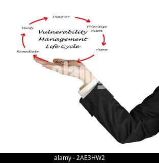 vulnerability management of life cycle Stock Photo - Alamy
