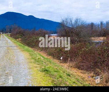 Dike road, Nicomen Island, British Columbia, Canada Stock Photo - Alamy