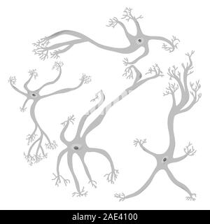 Neuron cells set. Collection of brain neurocyte. Vector illustartion ...