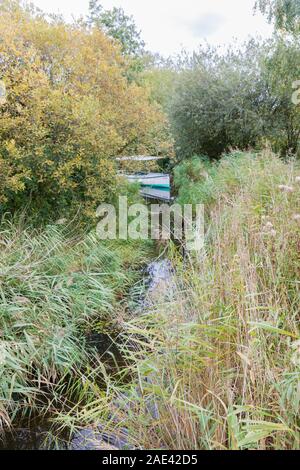 Reedham Marsh, How Hill National Nature Reserve, Norfolk Broads ...