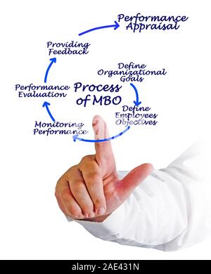 Diagram of MBO Process Stock Photo - Alamy