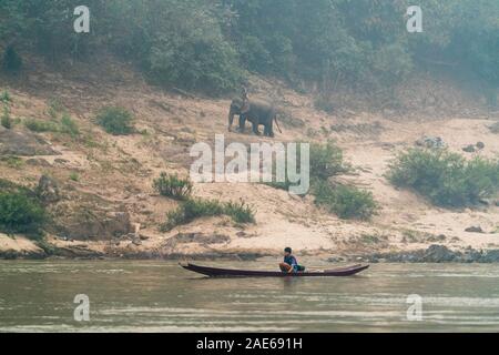 Mekong elephant park, Pakbeng, Laos, Asia Stock Photo - Alamy