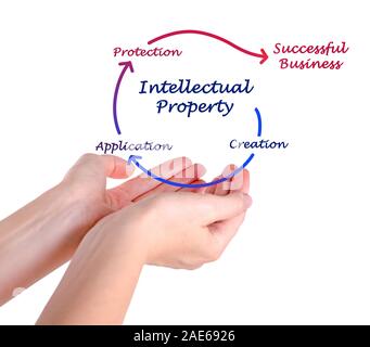 Intellectual property diagram Stock Photo - Alamy