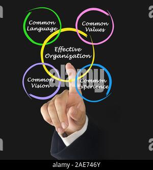 Diagram of Effective Organizations Stock Photo - Alamy