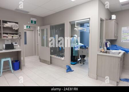 A veterinary surgeon performs an operation on a canine inside a the ...
