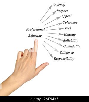 Diagram of Professional Behavior Stock Photo - Alamy