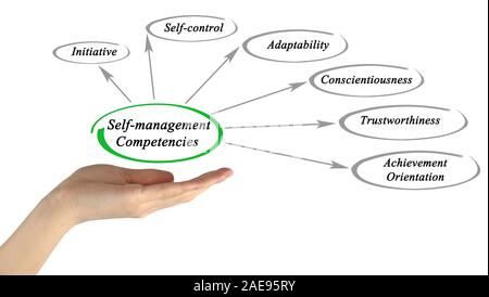 Self Management Competencies Stock Photo - Alamy