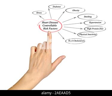 Heart Disease Controllable Risk Factors Stock Photo - Alamy