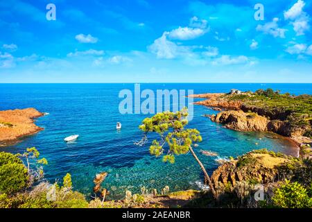 Esterel mediterranean tree, red rocks coast, beach and sea. French ...
