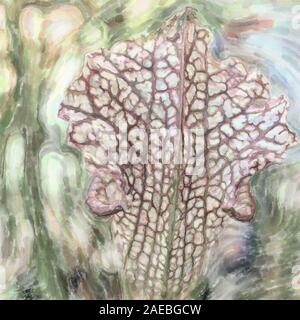 shrew species illustration Stock Photo - Alamy