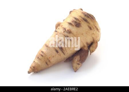 chervil root with isolated on white background Stock Photo - Alamy
