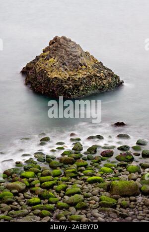 Long exposure shot of a basalt rock formation and green overgrown ...