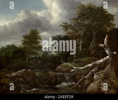 Jacob Van Ruisdael - Forest Scene Stock Photo - Alamy