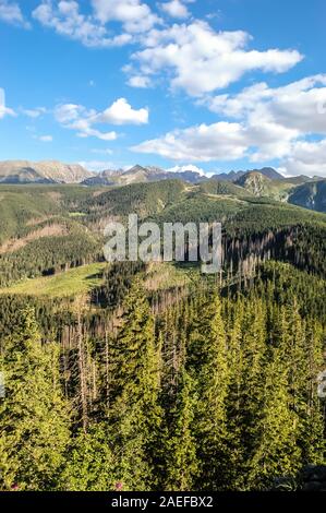 Tatra Mountains range and forest, aerial view Stock Photo - Alamy