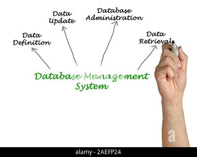 Diagram of Database Management System Stock Photo - Alamy