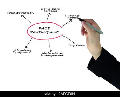 Diagram of PACE Stock Photo - Alamy