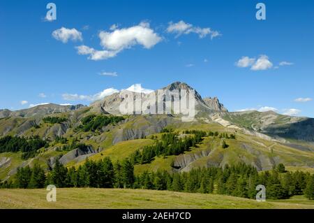 Panoramic view of the Mercantour National Park near Valberg, French Alps, France in Europe Stock ...