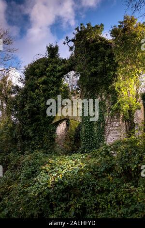 The remains of the Fir Hill Manor House in Colan Woods, the overgrown ...