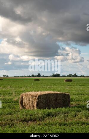 Large hay square bail in a green field Stock Photo - Alamy