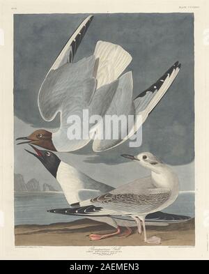 This 1836 engraving by Robert Havell after John James Audubon depicts ...