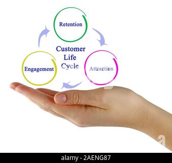 Diagram of Customer Life Cycle Stock Photo - Alamy
