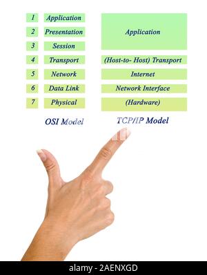OSI Reference Model and TCP/IP Model Layers Stock Photo - Alamy