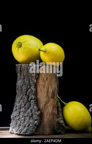 beautiful christmas tree of dry lemons with decor, on shine background ...