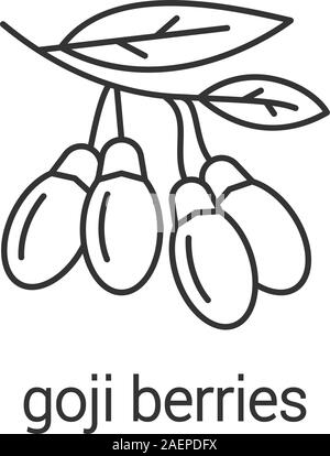 Goji Branch Isolated Outline Illustration Stock Vector Image & Art - Alamy
