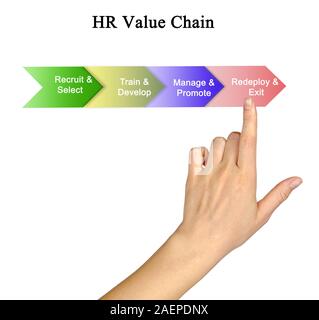 HR Value Chain Stock Photo - Alamy