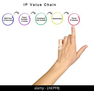 IP Value Chain Stock Photo - Alamy