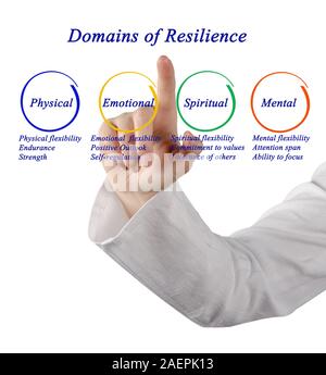 Domains of Resilience Stock Photo - Alamy
