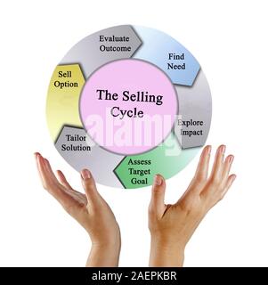 Components of Selling Cycle Stock Photo - Alamy