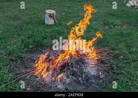 Fire of dry twigs on the green grass Stock Photo - Alamy