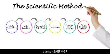 Scientific Method: From observation to model Stock Photo - Alamy