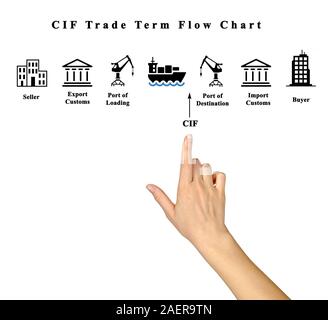 CIF Trade Term Flow Chart Stock Photo - Alamy