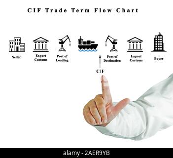 CIF Trade Term Flow Chart Stock Photo - Alamy