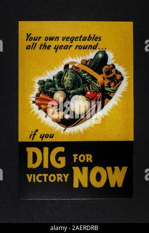 DIG FOR VICTORY POSTER 1940’s WW2 Propaganda Poster ‘Dig For Victory ...