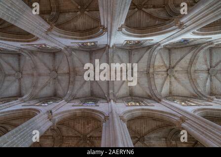 Majestic pointed arches, piers, triforium, clerestory, ribbed vaulting ...