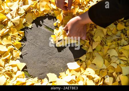 A person plays the ginkgo-leave-puzzle that says "Xi'an City Walls ...
